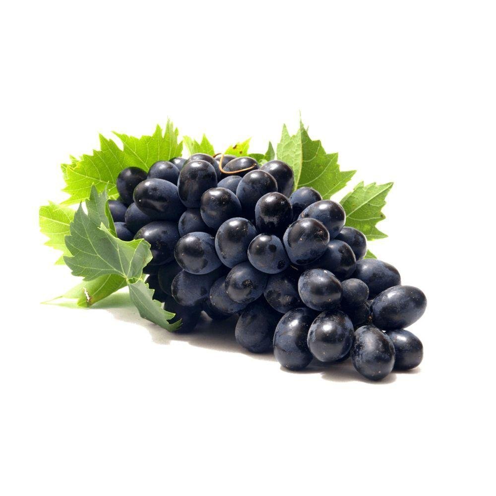Muda Frutífera de Uva Francesa | MadeiraMadeira