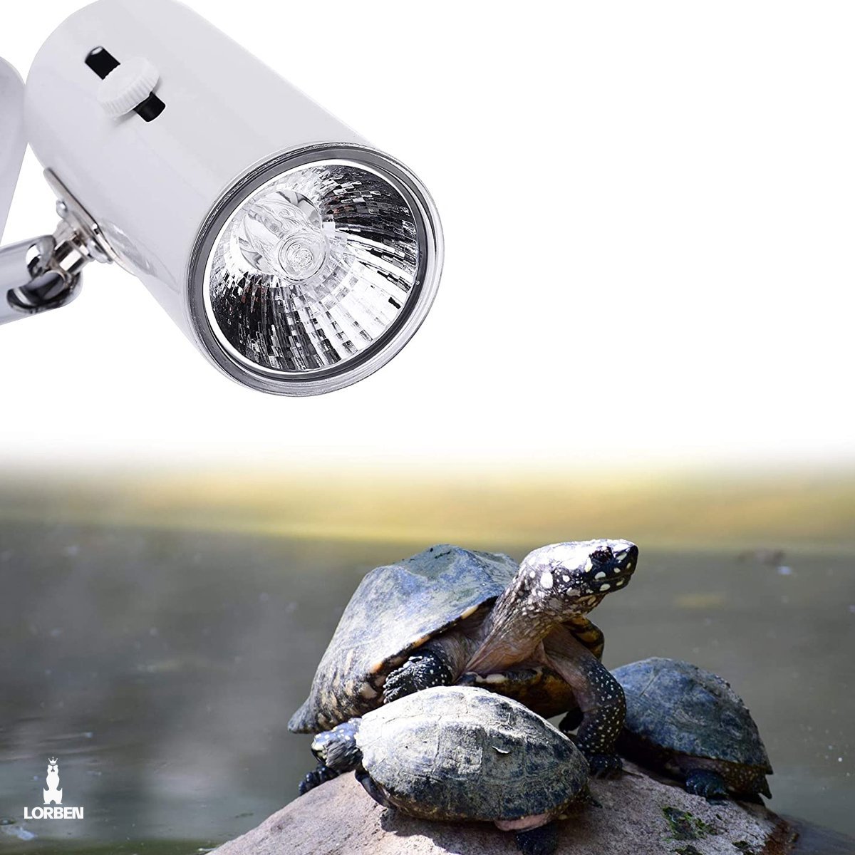 Mini Lâmpada UVA + UVB Lorben Aquecimento para Terrários Répteis Tartarugas 50W 110V ...