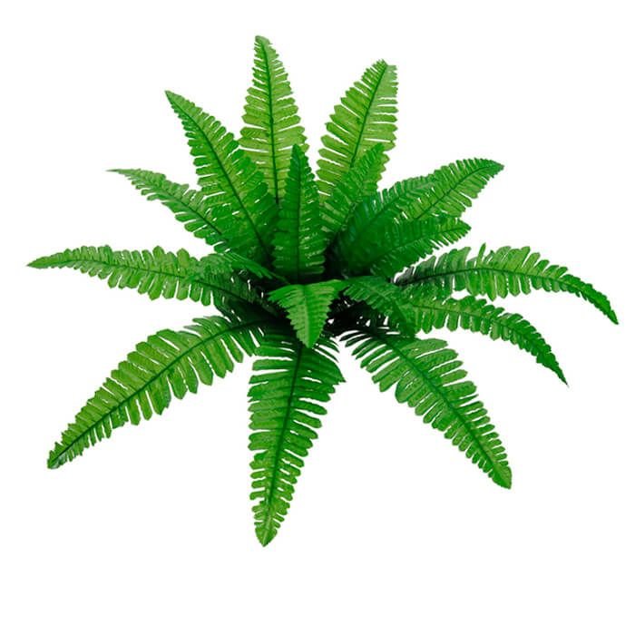 30 Buque de Samambaia Flor Artificial Arranjo Muro | MadeiraMadeira