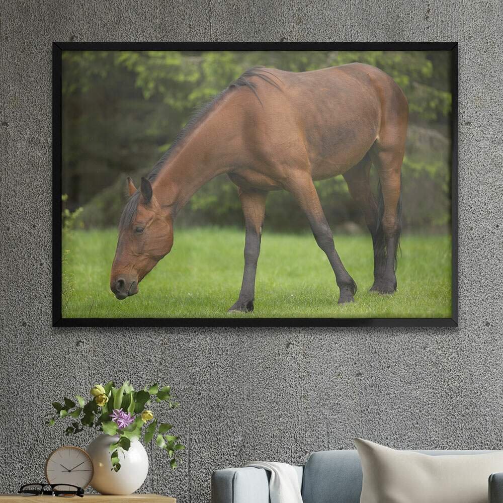 Quadro Decorativo Cavalo Marrom-34x49Cm | MadeiraMadeira