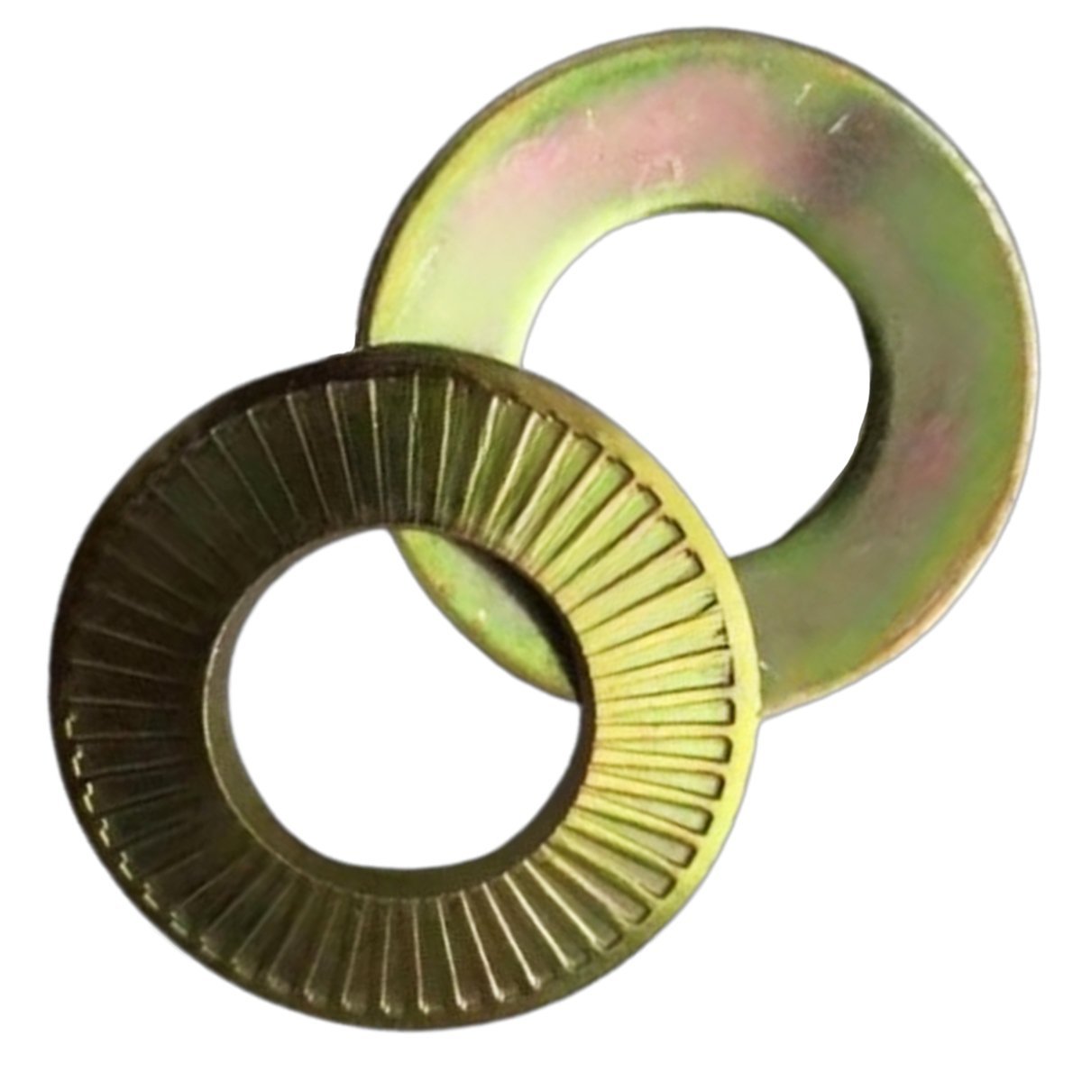 Arruela Estriada M12 Cônica S/dente Bicromatizado - 100un | MadeiraMadeira