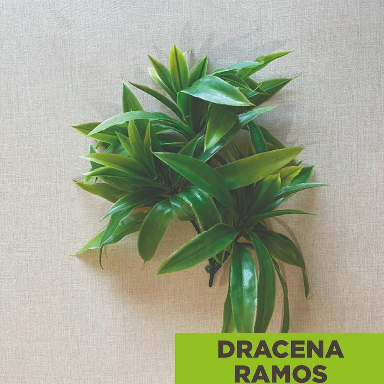 Acessório Para Jardim Vertical Dracena Ramos | MadeiraMadeira