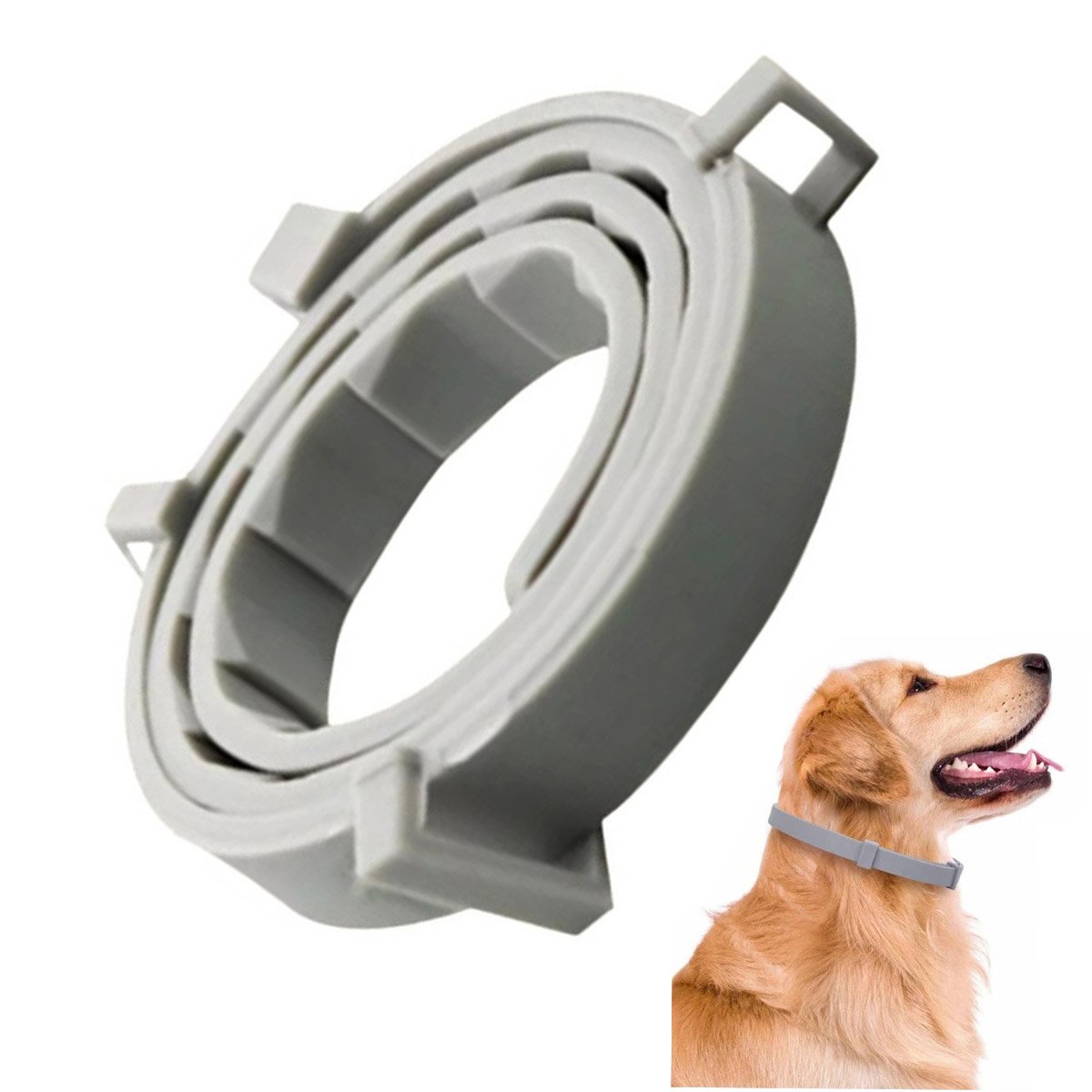 Coleira Anti Pulga Gato Cao Cachorro Pet Kit 2 Uni. Carrapato Leishmaniose Canino Felino Tamanho ...