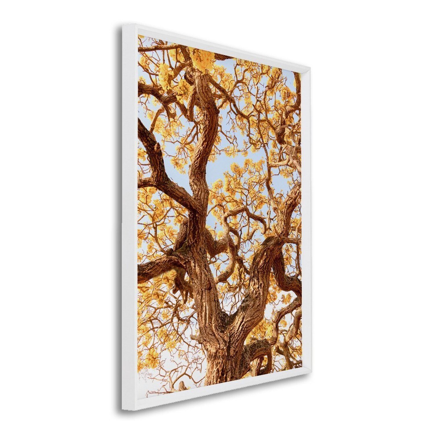 Quadro Decorativo Outono Galhos de Árvore com 1 Tela Cm ou Cm de Parede ...