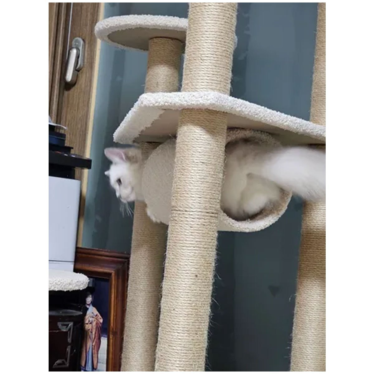 Arranhador de Gato Torre 5 Andares Pet Felino Tunel Macio Escalada ...