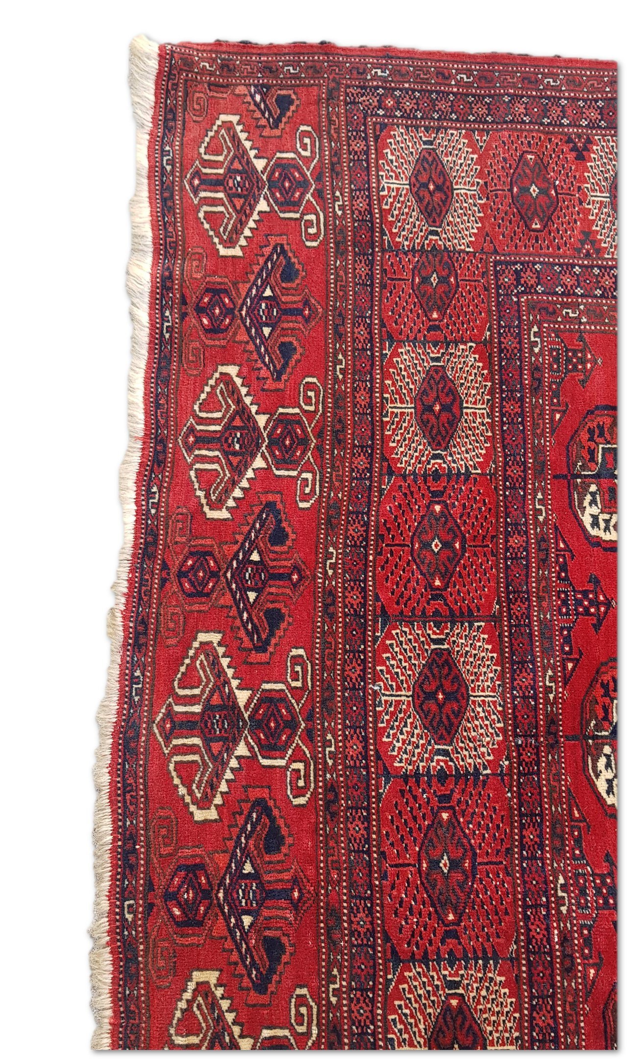 Tapete Bokhara Tekke 1910 - Handmade - 3,25 X 2.07 - #1137 | MadeiraMadeira