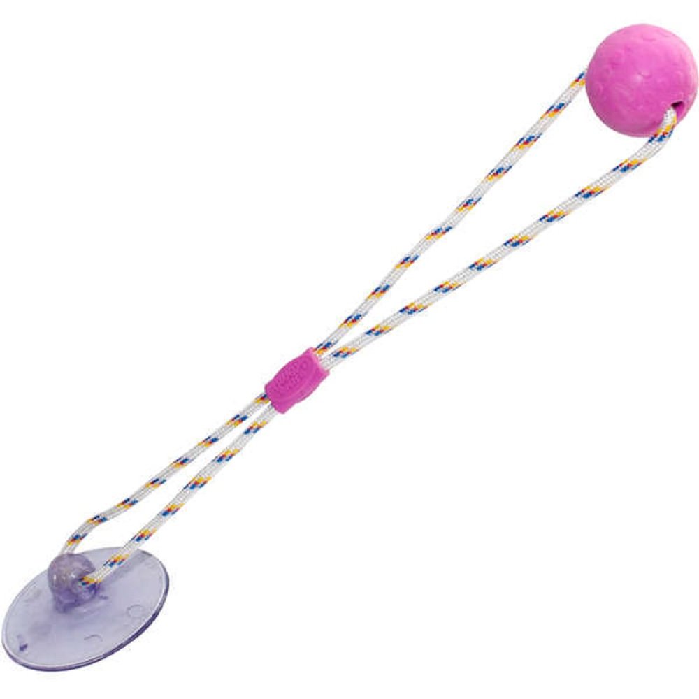 BOLINHA COM VENTOSA DIVERCÃO PUSH BALL PET P - TRUQYS PET - Azul ...