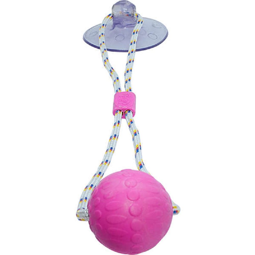 BOLINHA COM VENTOSA DIVERCÃO PUSH BALL PET P - TRUQYS PET - Azul ...